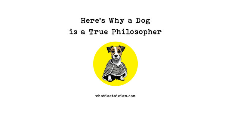 Here's Why a Dog is a True Philosopher - What Is Stoicism?